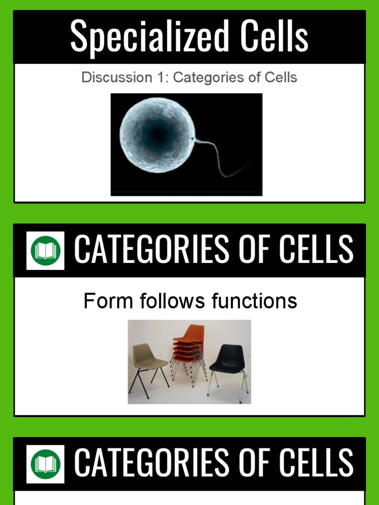 Lesson 1. Categories of Cells | PDF