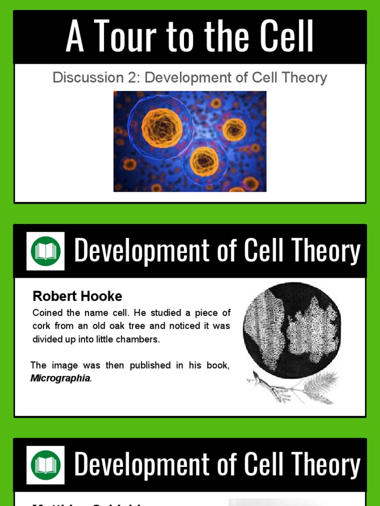 Lesson 2. Development of Cell Theory | PDF