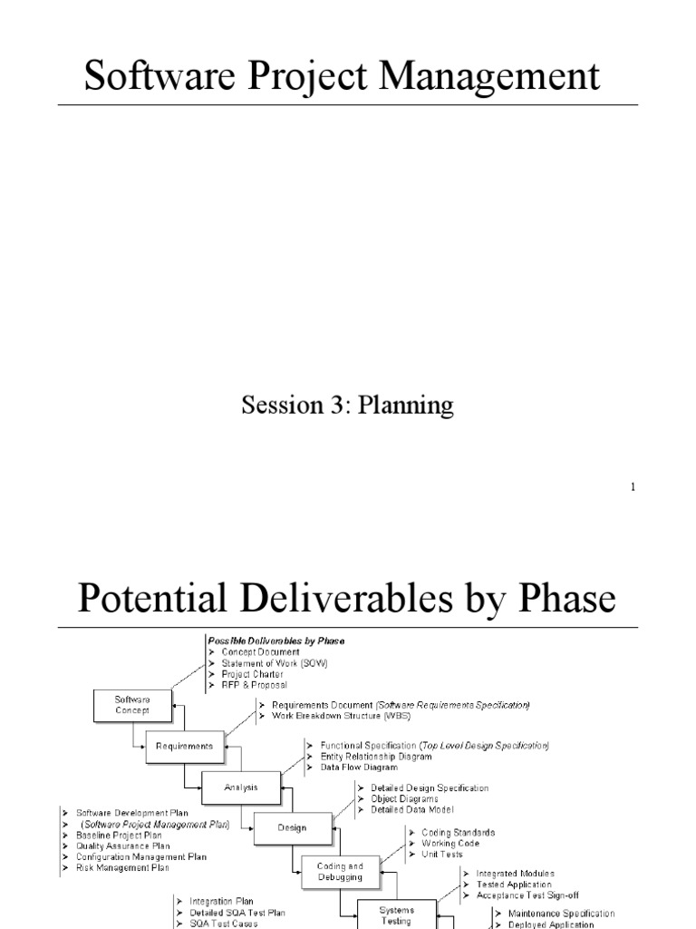 Software Project Management: Session 3: Planning | PDF