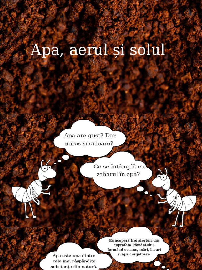 Apa, Aerul Și Solul PDF | PDF