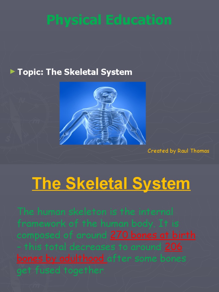Physical Education Skeletal System | PDF | Skeleton | Human Body