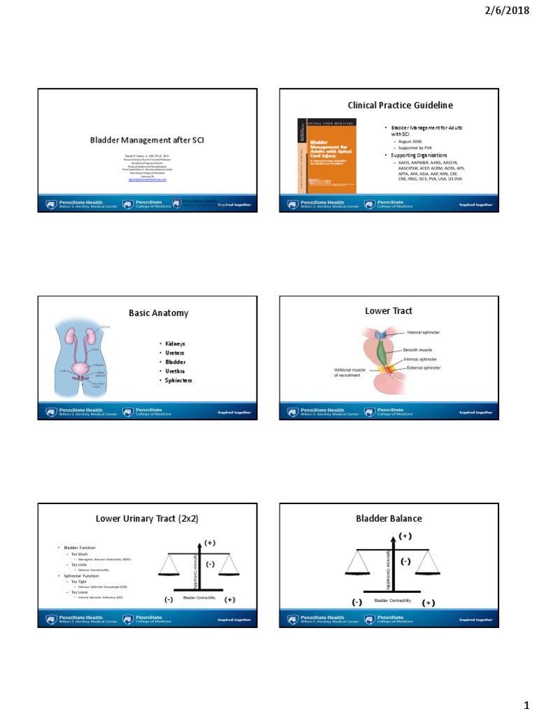 Clinical Practice Guideline: Bladder Management After SCI | PDF ...