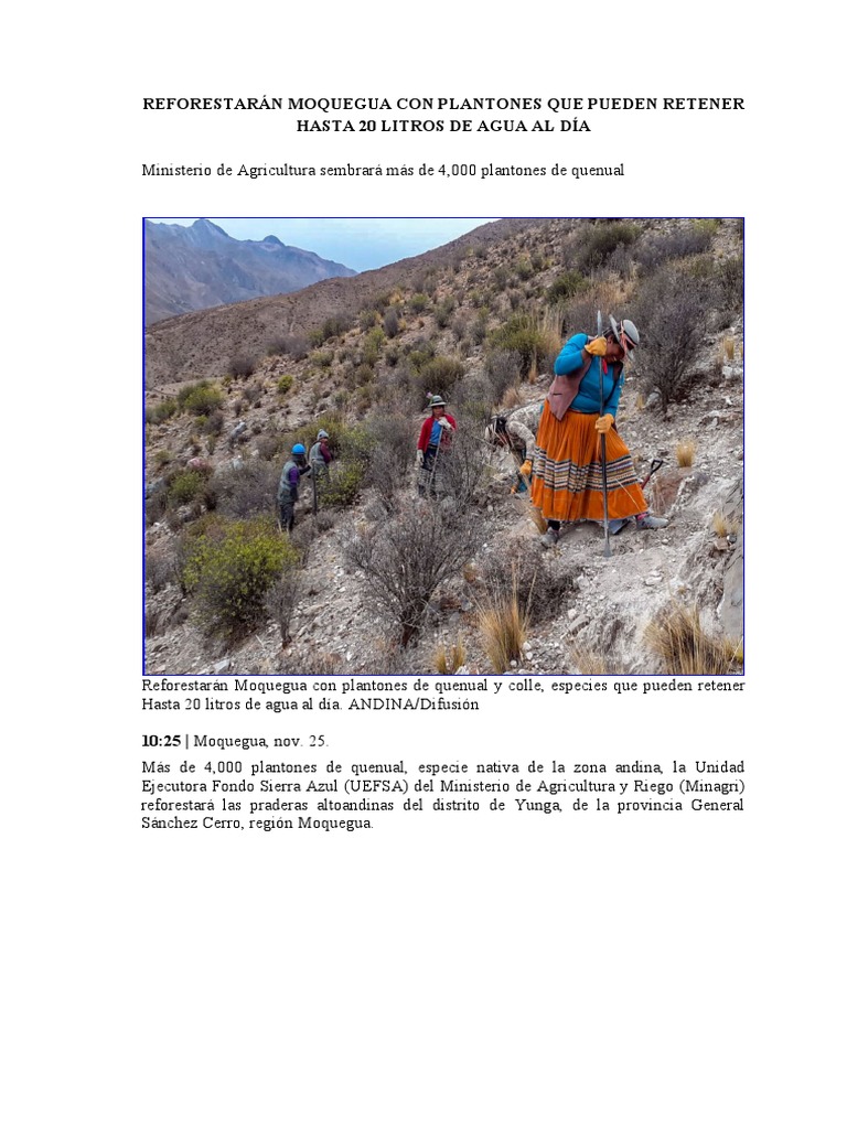 Planta Quinual | PDF | Agricultura | Entorno natural