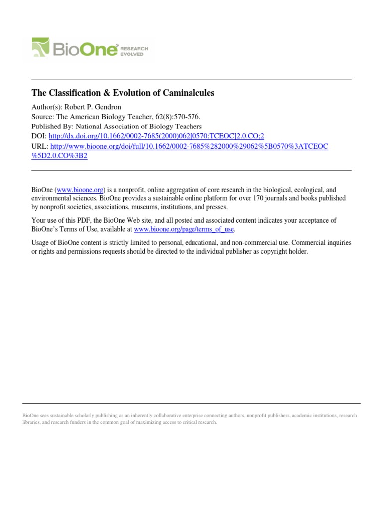 The Classification & Evolution of Caminalcules | PDF | Species ...