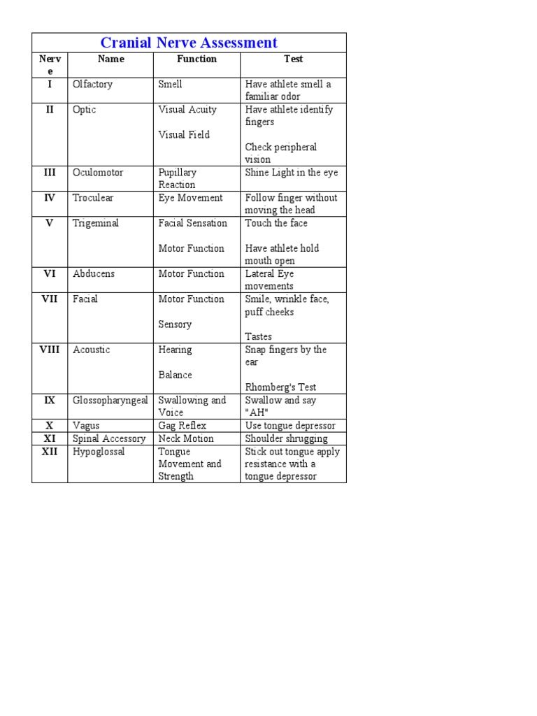 Cranial Nerve Assessment Guide | PDF