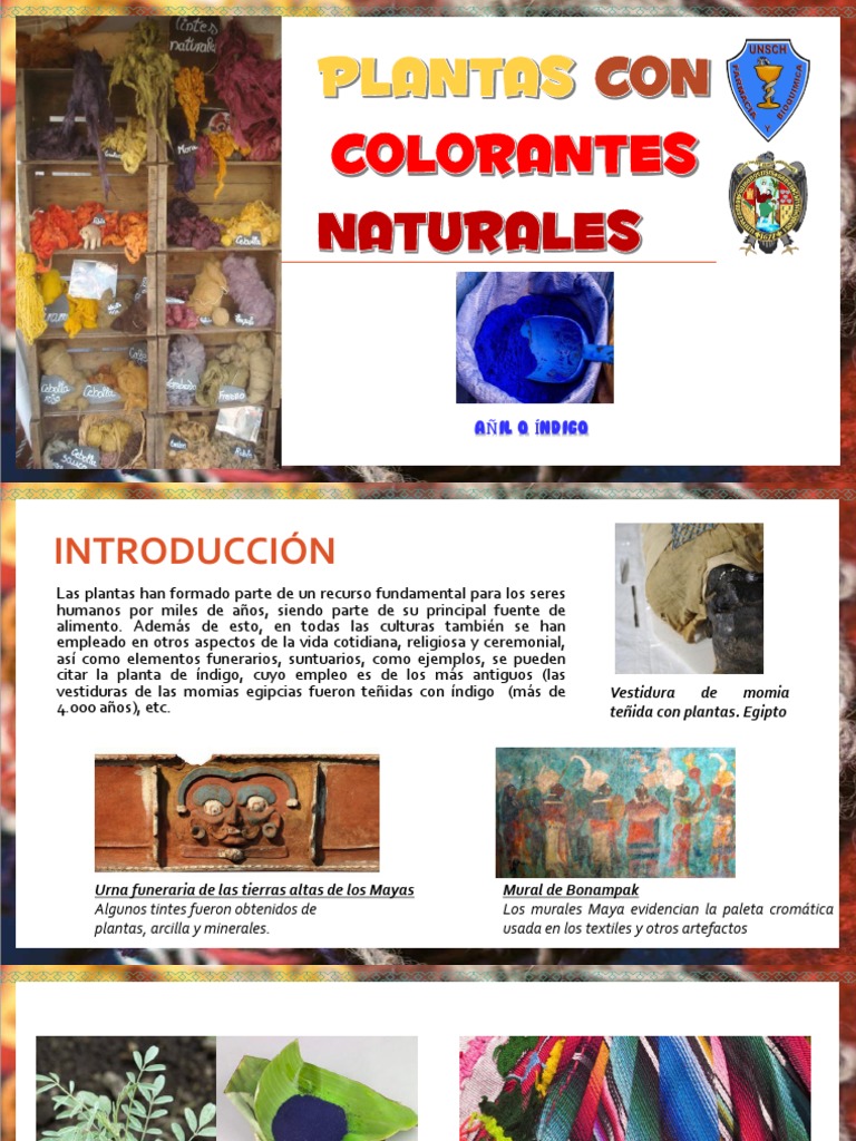 Colorantes Naturales | PDF | Plantas | Naturaleza