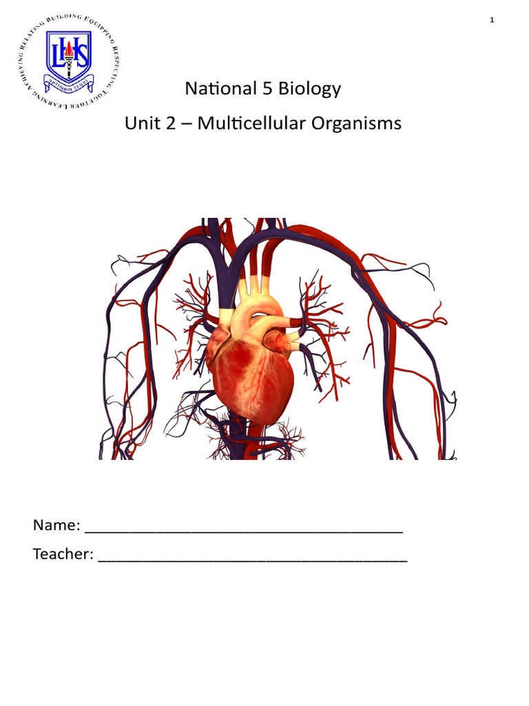 National 5 Biology Unit 2 - Multicellular Organisms | PDF | Embryo ...