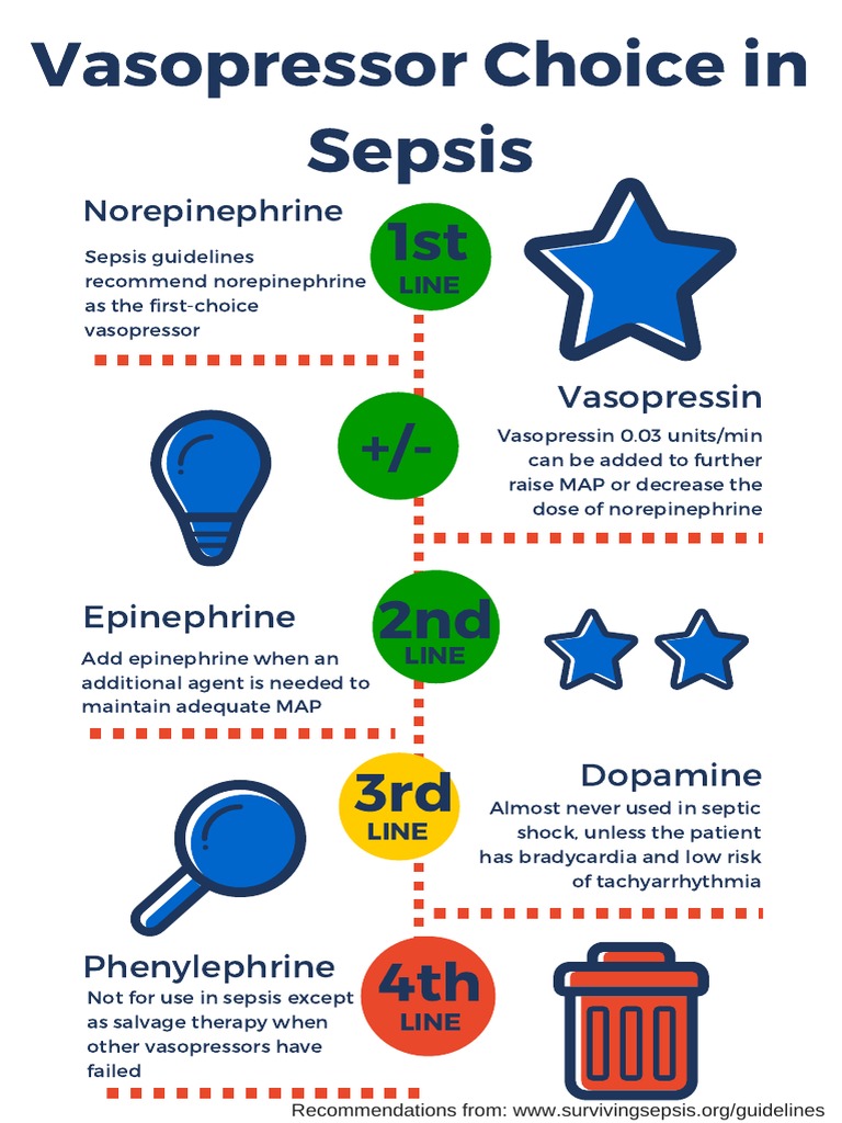 Vasopressor Choice in Sepsis | PDF