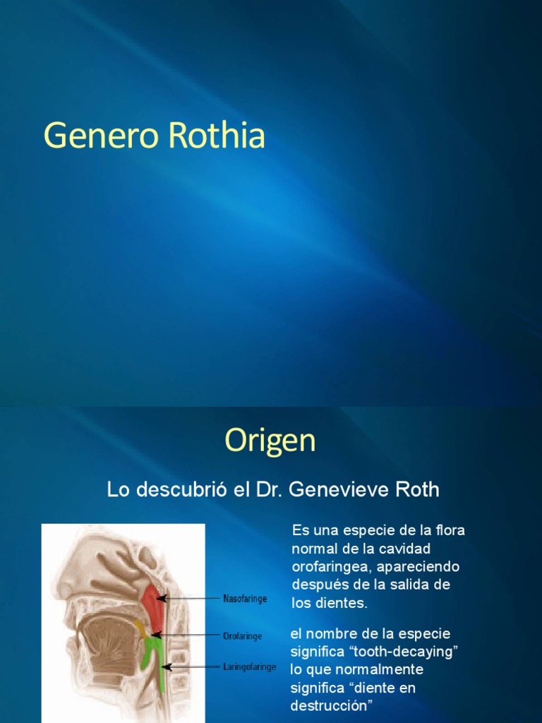 Bacteria Rothia | PDF | Bioquímica | Química
