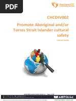 Aboriginal Cultural Safety Framework VIC | PDF | Indigenous Australians ...