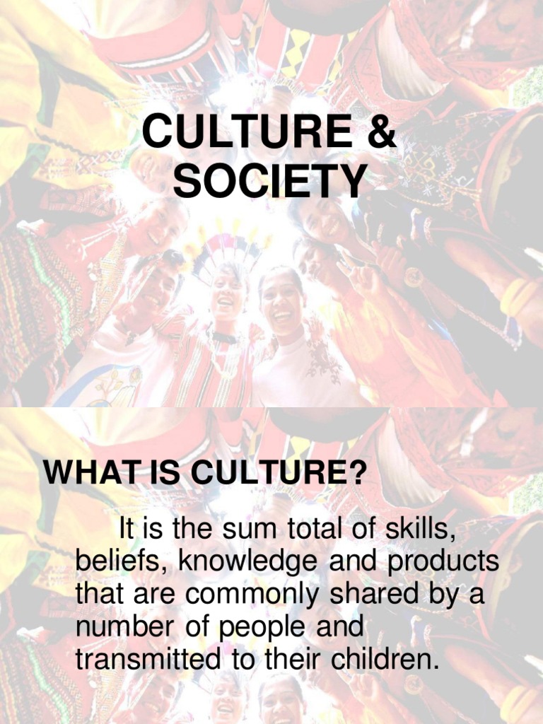 Lesson 2 - Aspects of Culture and Society | PDF | Socialization | Society