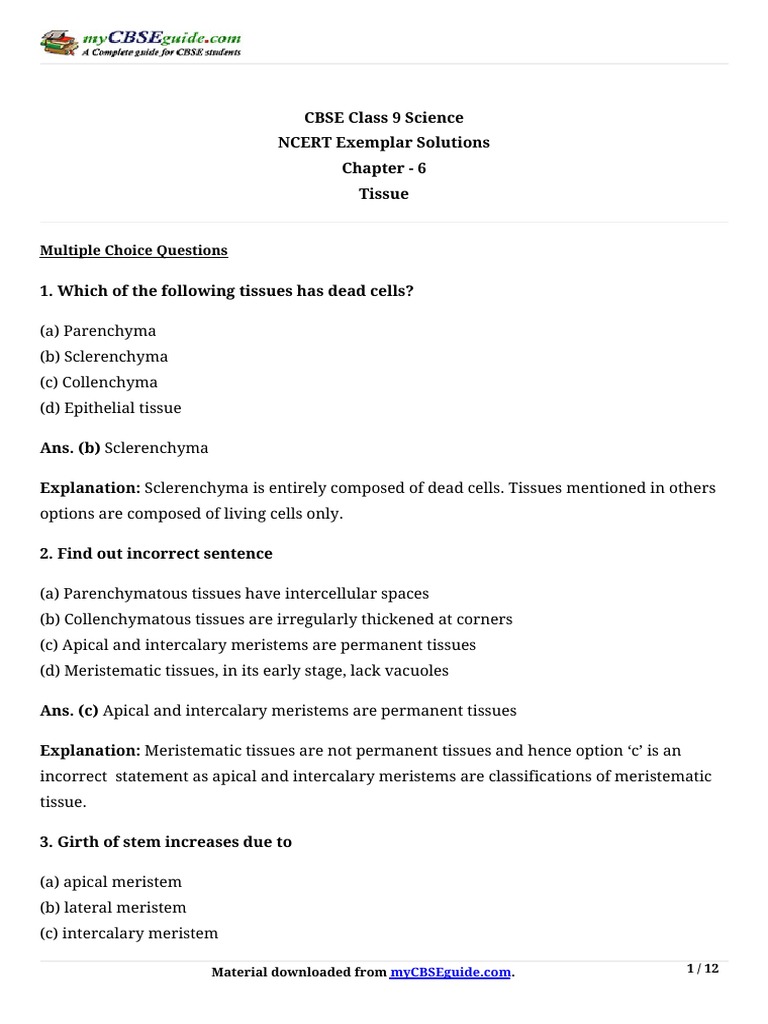 Ch-06 Tissue MCQ | PDF | Tissue (Biology) | Epithelium