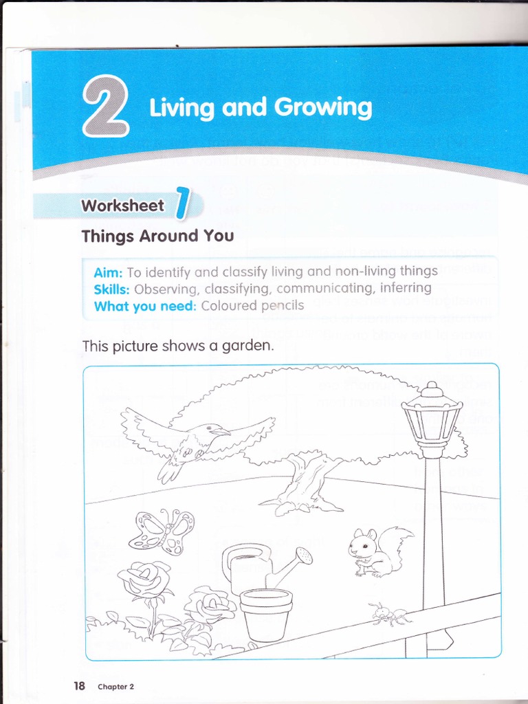 Grade 1 Activity Book PDF | PDF | Plants | Botany
