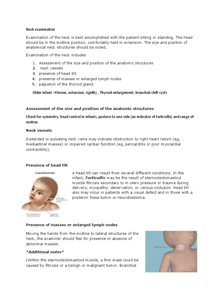 Neck Examination: Assessment of The Size and Position of The Anatomic ...