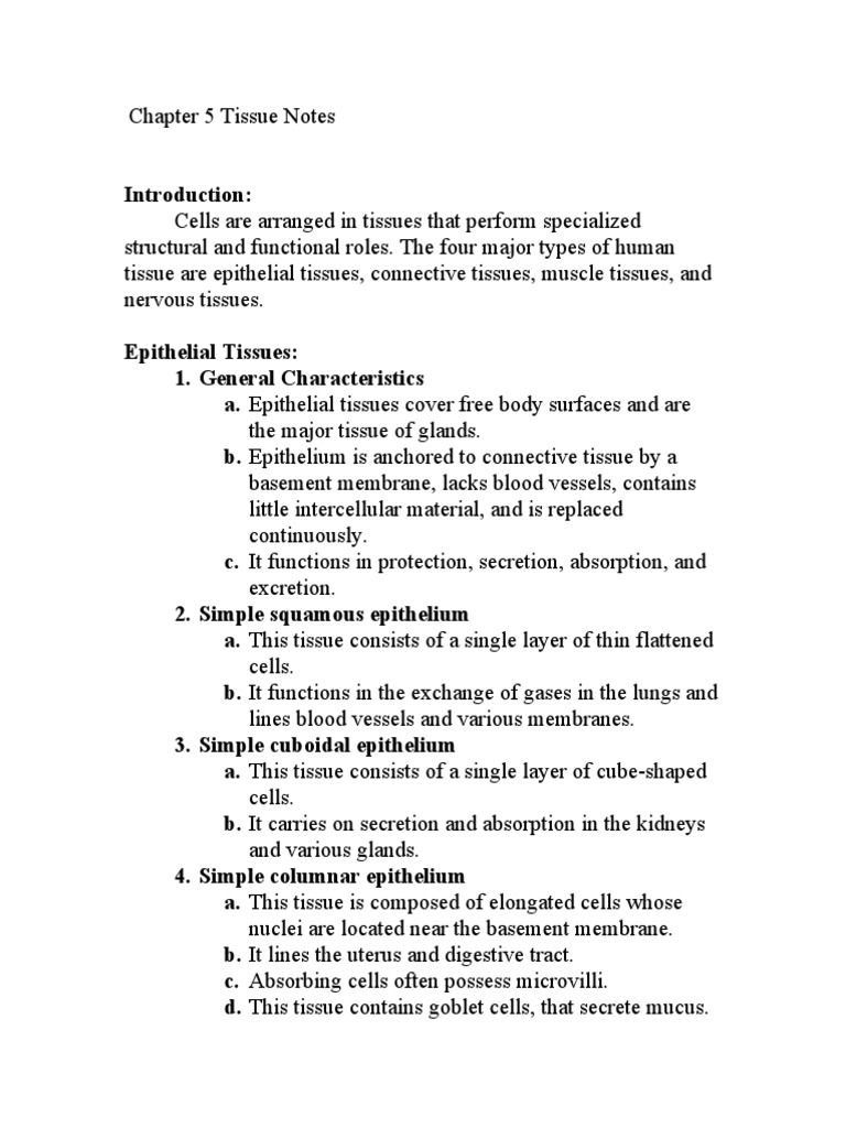 Chapter 5 Tissue Notes | PDF | Epithelium | Tissue (Biology)