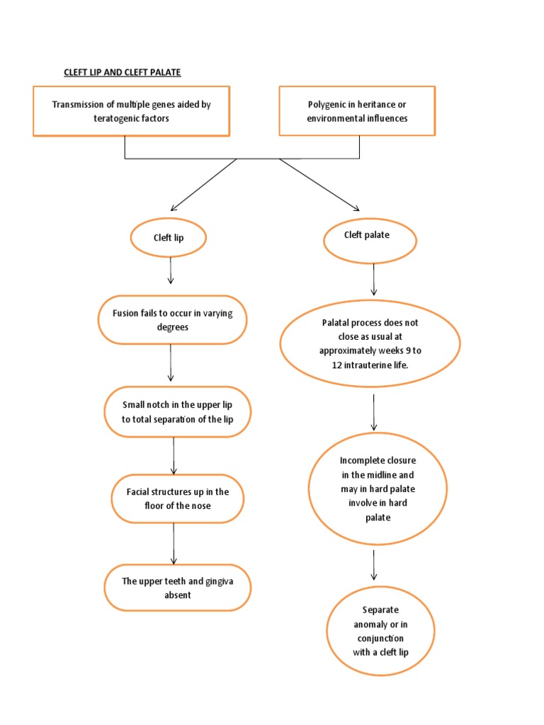 Pathophysiology CLEFT LIP AND CLEFT PALATE | PDF