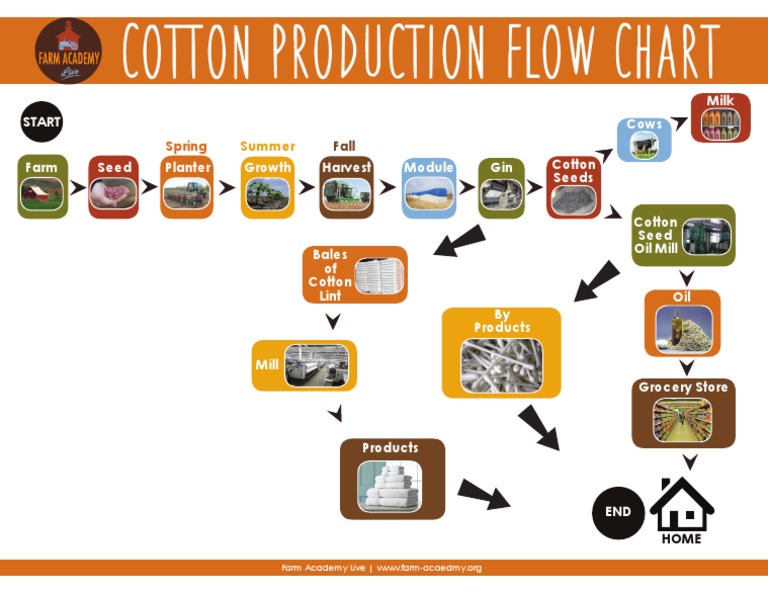 Cotton Production Flow Chart: Spring | PDF