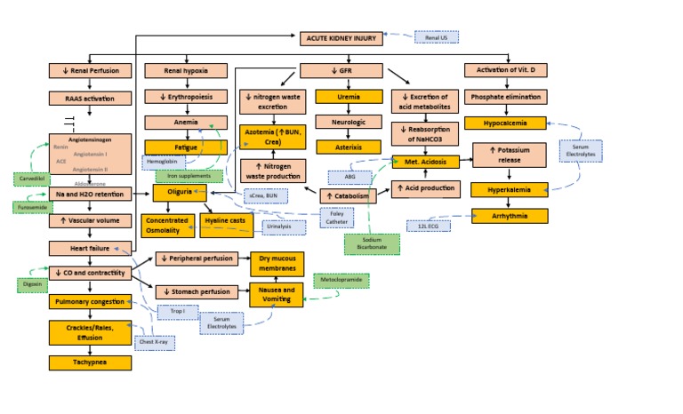 Acute Kidney Injury Concept Map | PDF | Angiotensin | Kidney