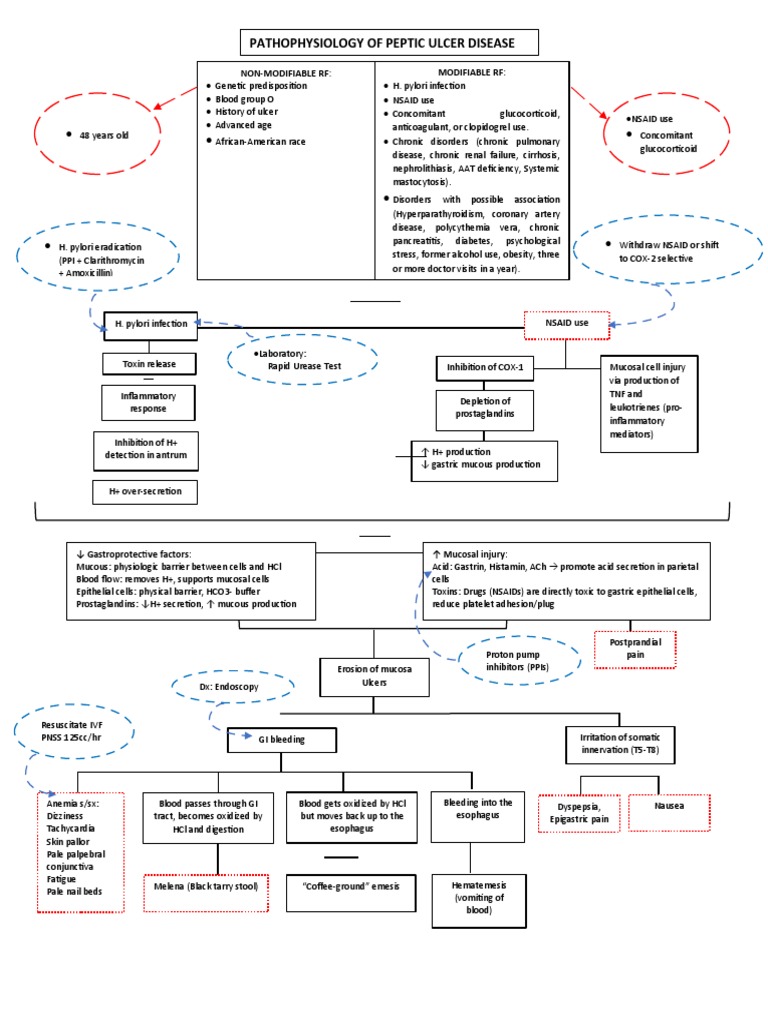Peptic Ulcer Disease Pathogenesis Risk Factors | PDF | Clinical ...