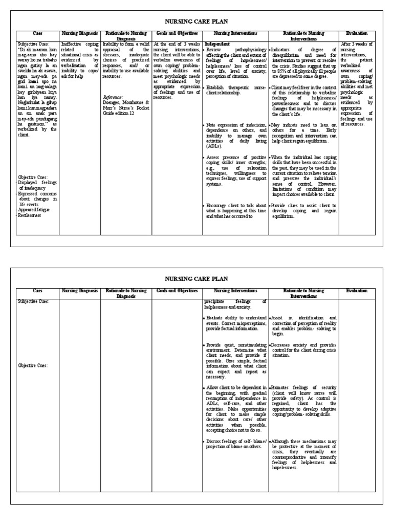 Coping with Crisis: Developing an Individualized Nursing Care Plan to ...