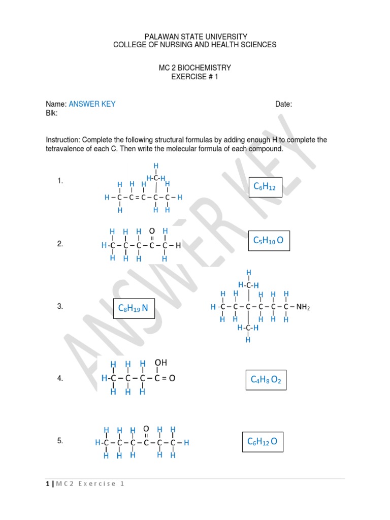 Exercise 1 - Answer Key | PDF