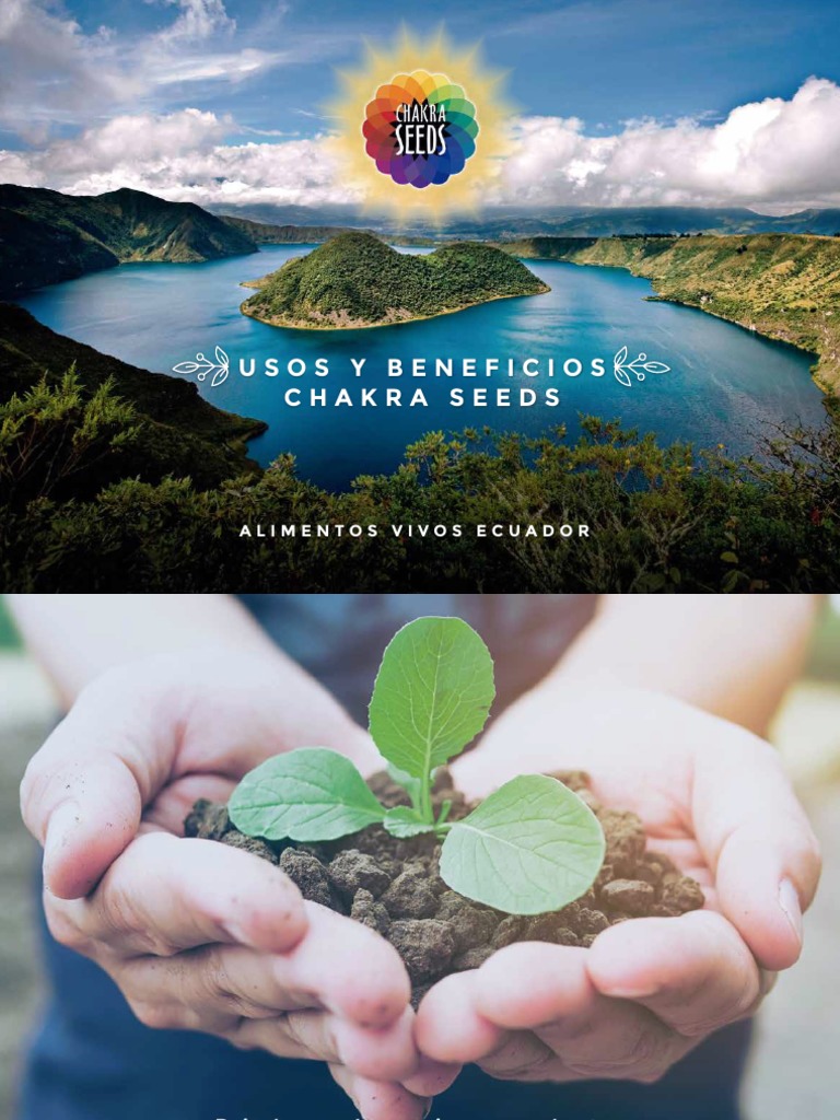 Catalogo Chakra Seeds | PDF | Petróleo | sal