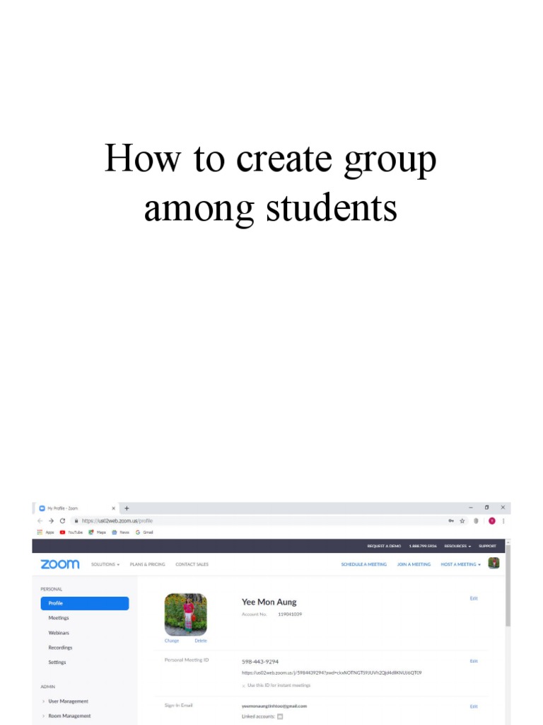 How To Use Zoom | PDF