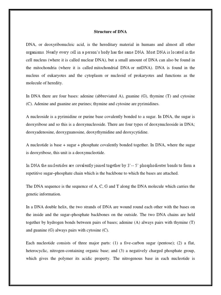 Structure of DNA PDF | PDF | Nucleic Acid Double Helix | Dna