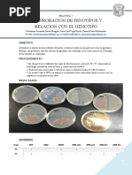 Prueba de Molish | PDF | Carbohidratos | Almidón