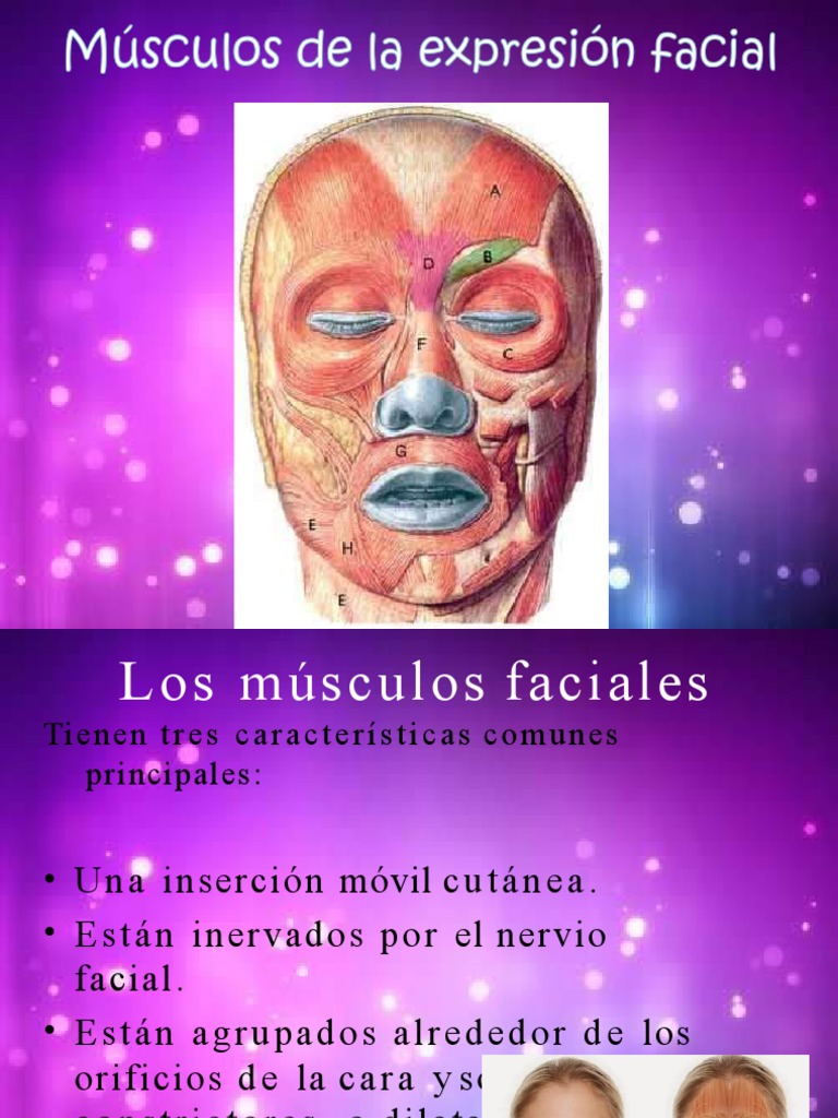 Musculos Expresion Facial | PDF | Rasgos faciales | Anatomía humana