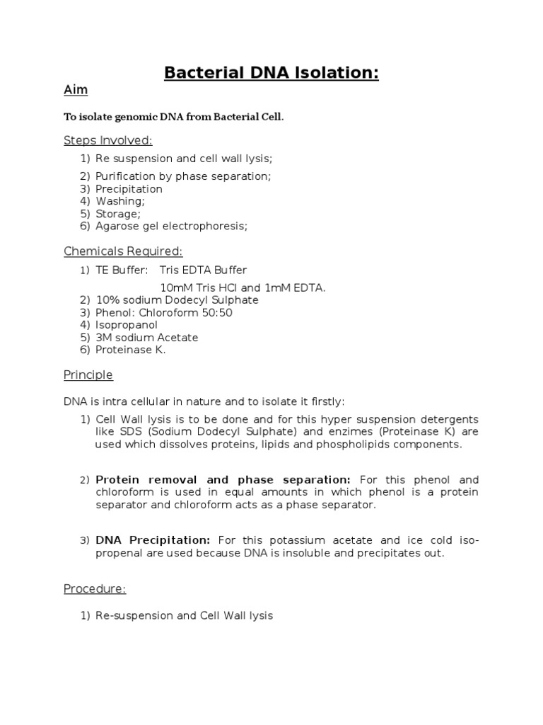 Bacterial DNA Isolation | PDF | Gel Electrophoresis | Agarose Gel ...