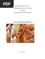 Guía de Sutura Colchonero Horizontal | PDF | Cirugía | Especialidades ...