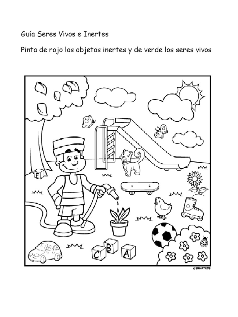 Guía Seres Vivos e Inertes | PDF | Salud y bienestar