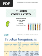 Pruebas Bioquimicas para Enterobacterias | PDF | Química | Las bacterias