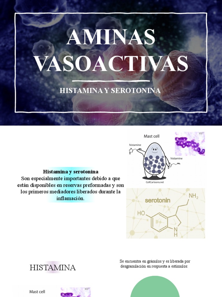Aminas Vasoactivas | PDF
