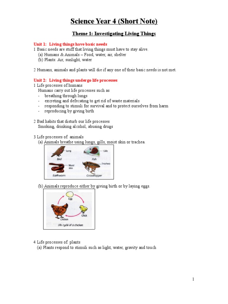 Year 4 Science Notes Overview | PDF | Science & Mathematics