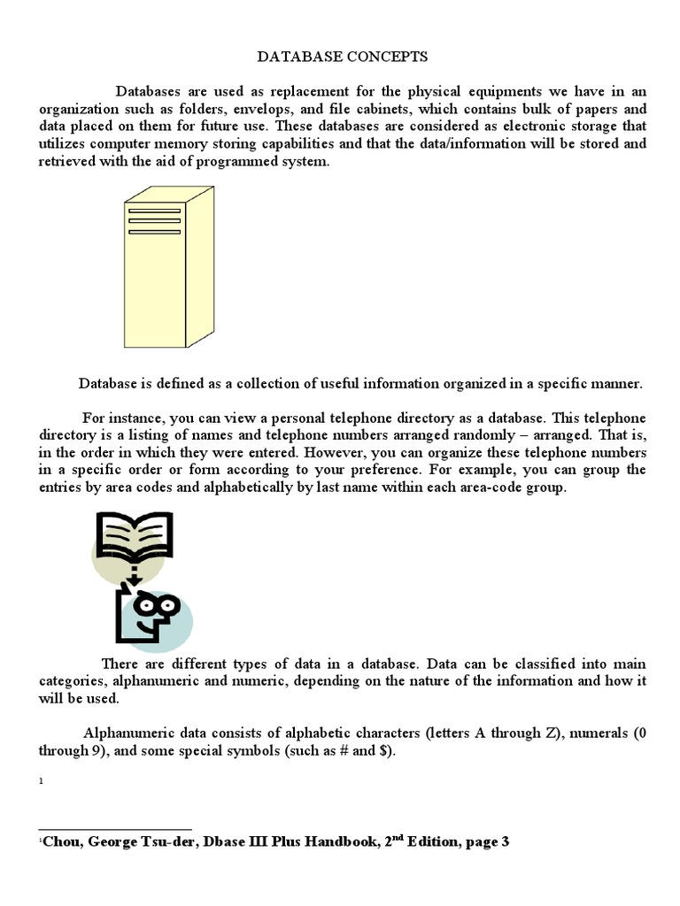 Database Basics for Beginners | PDF | Databases | Data