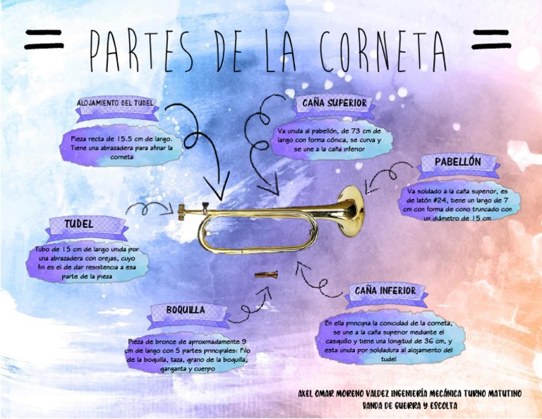 Infografia Partes de La Corneta M20050163 PDF | PDF | Aerófonos | Science