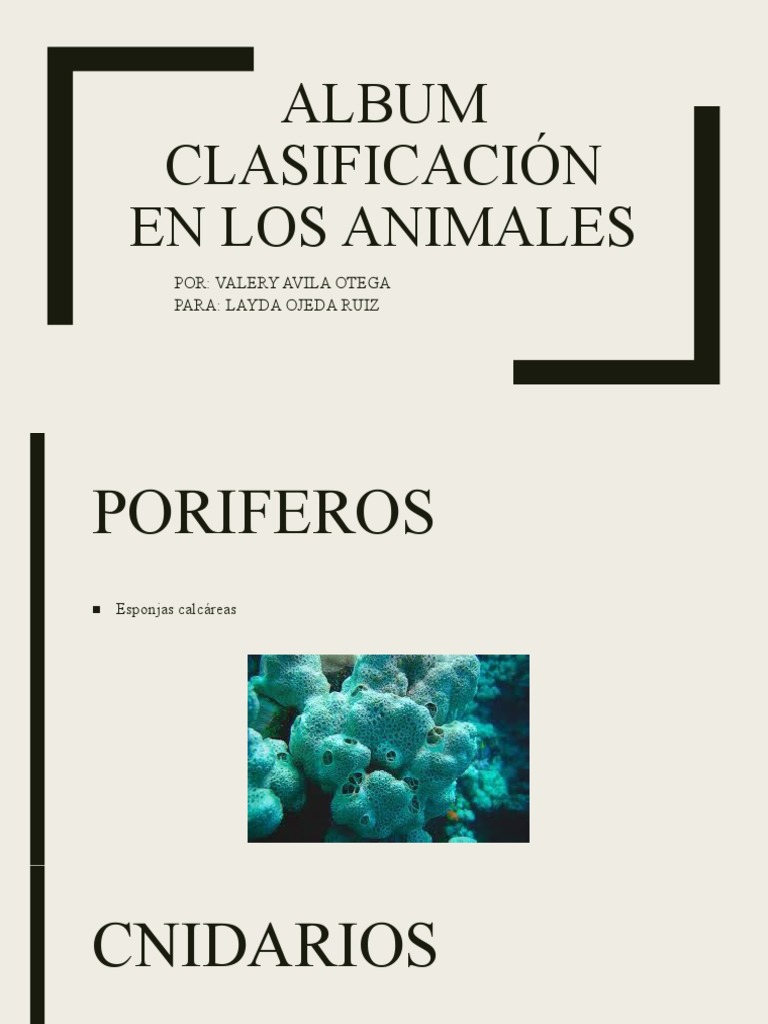 ALBUM Clasificación en Los Animales | PDF | Ciencias sociales