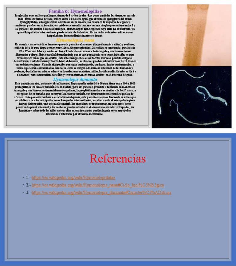 Parásitos Hymenolepidae: Ciclo y Riesgos | PDF | Especialidades Medicas ...