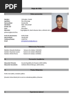 CURRICULUM VITAE BASICO Paola | PDF