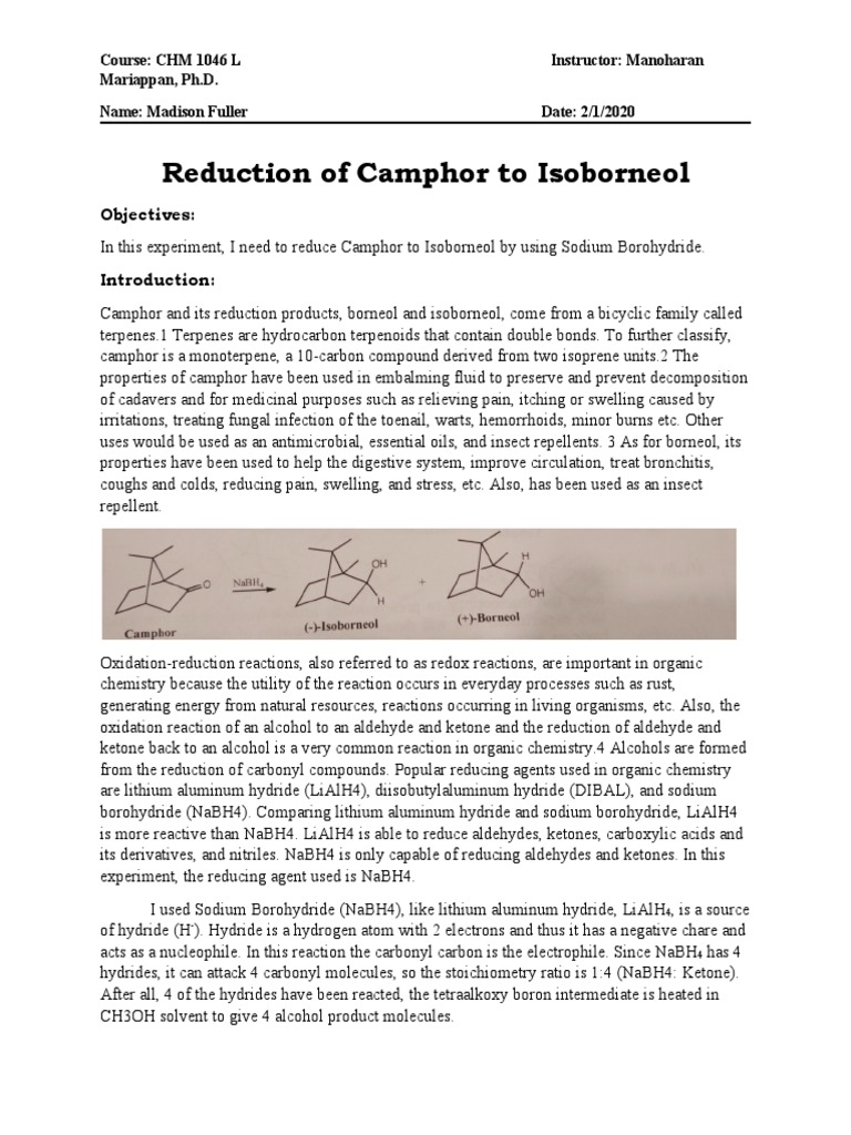 Lab 4 Reduction of Camphor To Isoborneol | PDF | Ketone | Organic Chemistry