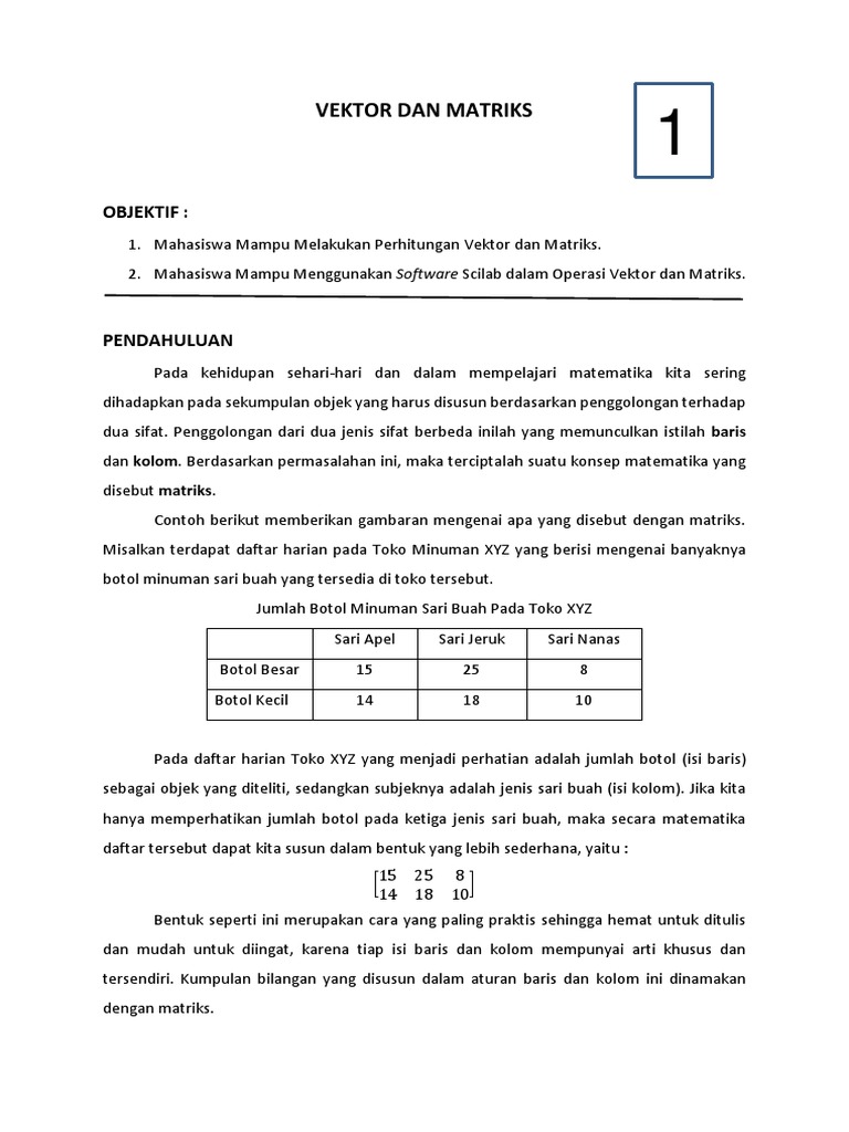 Vektor dan Matriks dalam Matematika | PDF