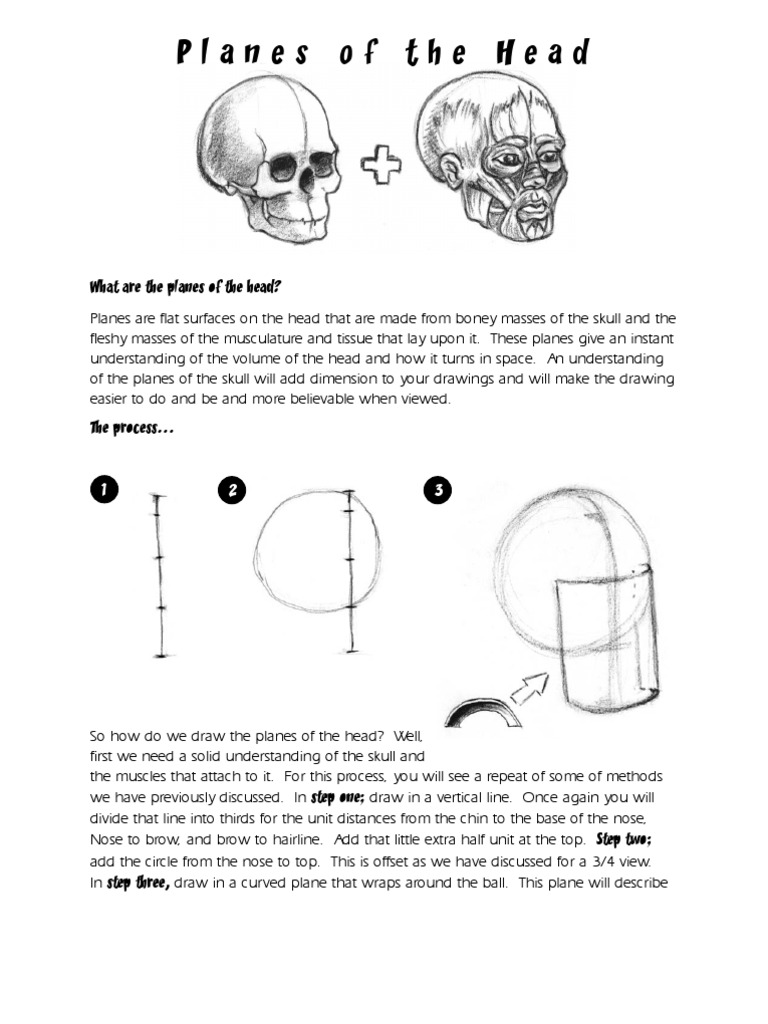 Planes of The Skull | PDF | Human Head And Neck | Face