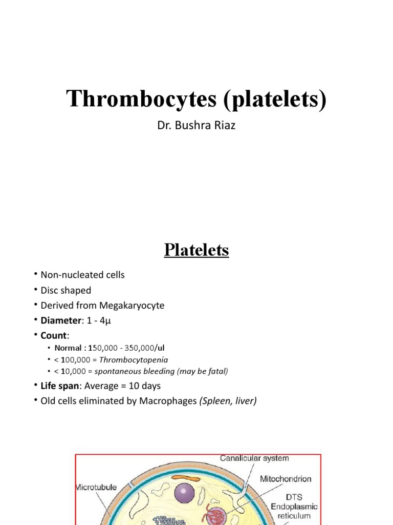 Thrombocytes (Platelets) | PDF | Platelet | Coagulation