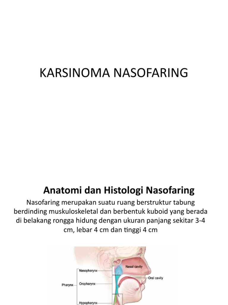Karsinoma Nasofaring | PDF