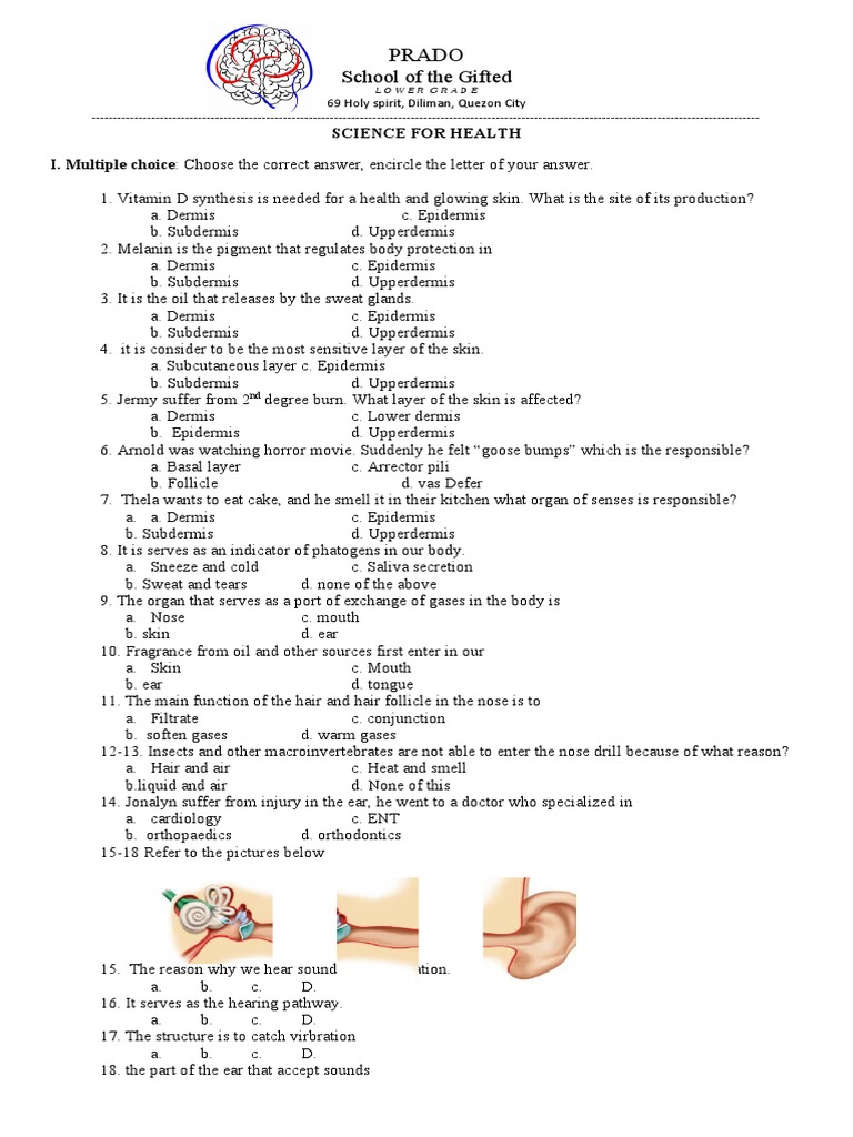 Integumentary System Short Quiz | PDF | Skin | Integumentary System