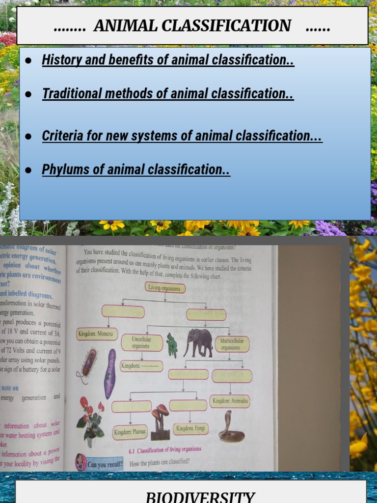 10th Science Maharashtra Board Animal Classification Intro | PDF ...