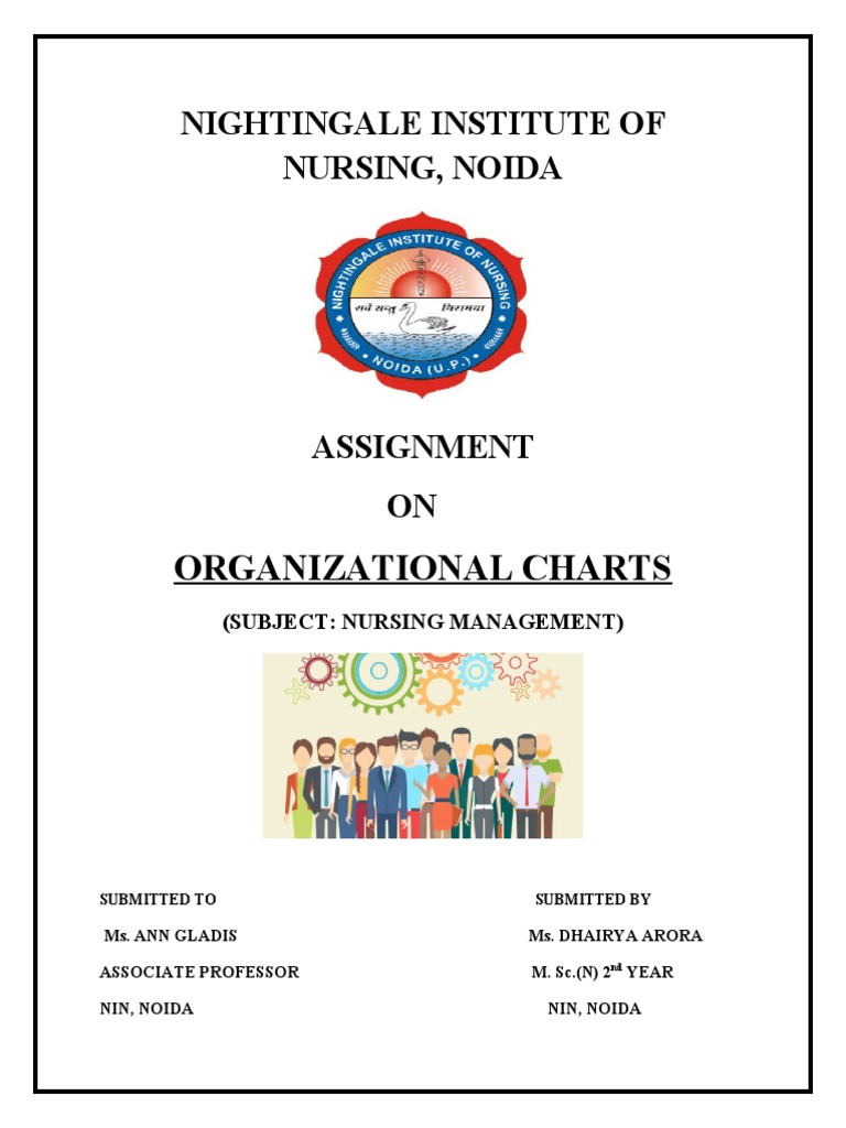 Organizational Chart | PDF | Nursing | Organizational Structure