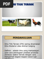 Anatomi Fungsional Organ Reproduksi Sapi Betina | PDF